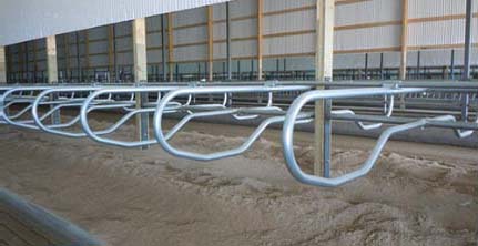 Freudenthal Manufacturing | Dog Bone Freestall System