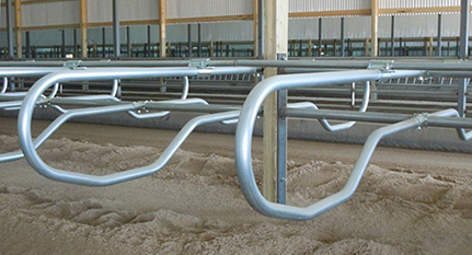Freudenthal Manufacturing | Dog Bone Freestall System